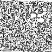 Projects – Another Fly On The Wall